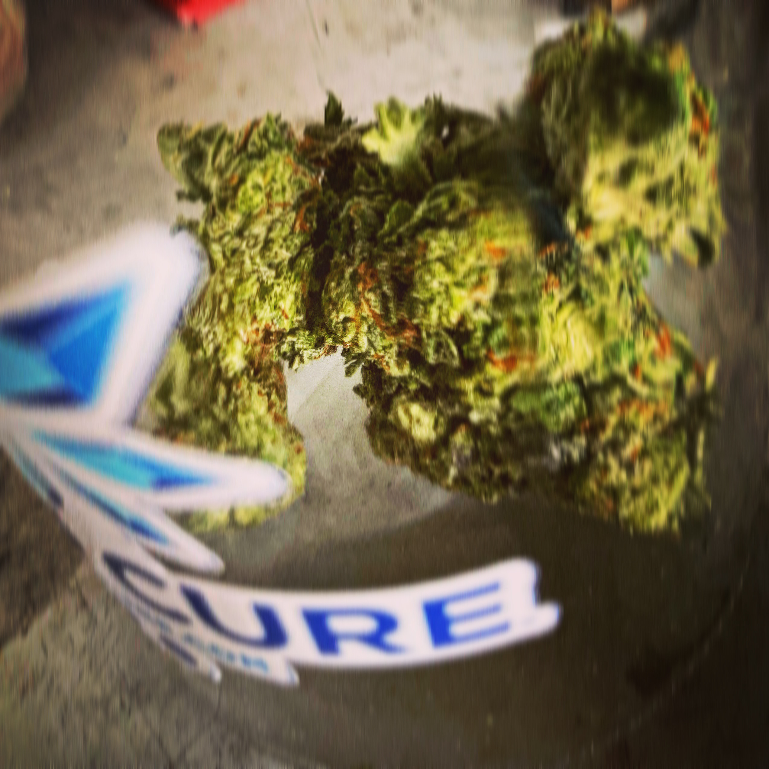 Cryo Cure is a Quality Driven Method to an End | Skunk Global
